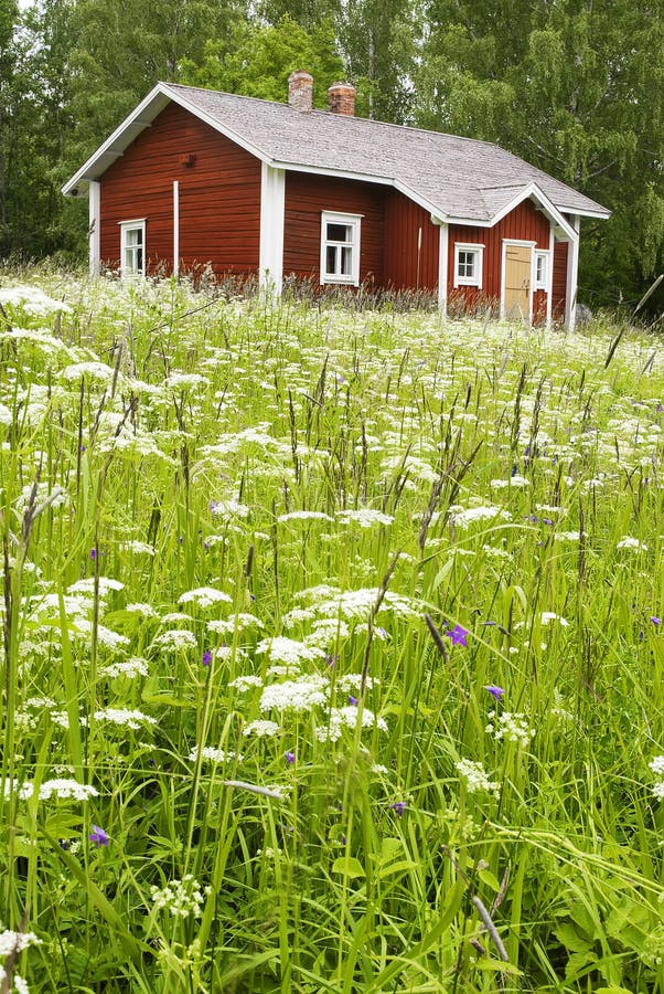 Country Red house stock image. Image of wooden, flowers - 13791087