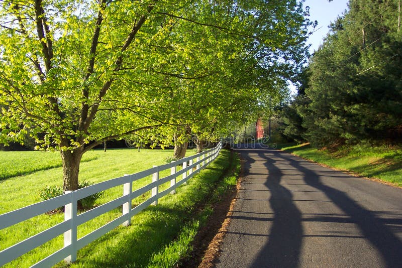 Country Road stock image. Image of morning, country, green - 8413