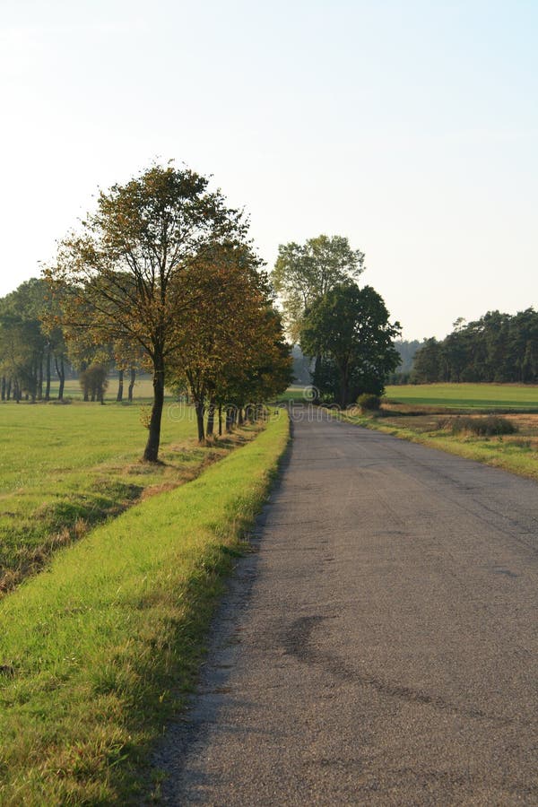 Country road stock photo. Image of scene, road, meadow - 11560814