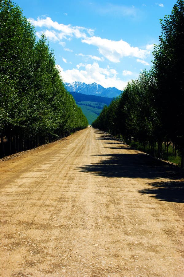 Country roads stock photo. Image of fields, wheat, clouds - 12835108