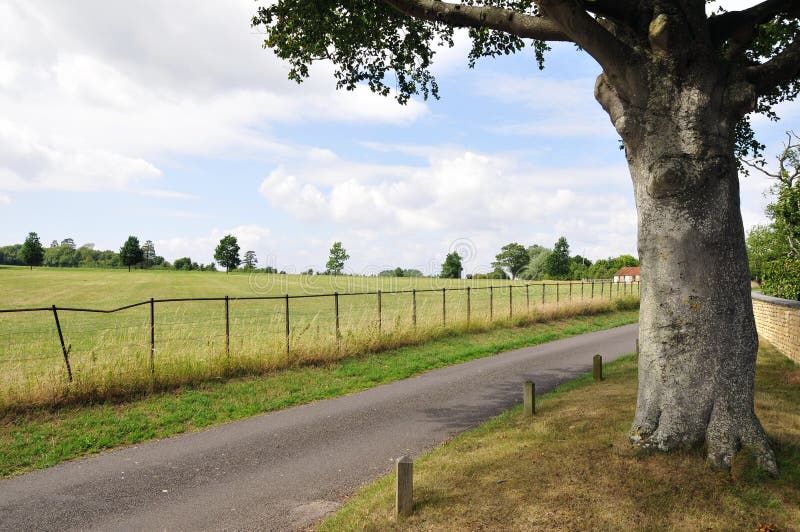 Country Road in Spring stock image. Image of farm, copy - 13055387