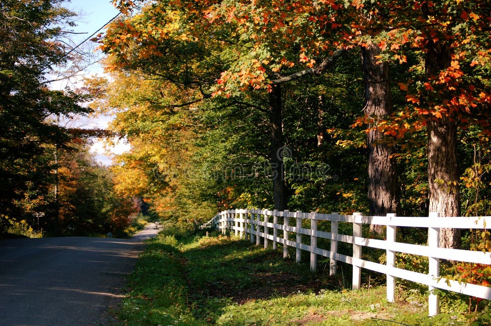 Country Road stock image. Image of rural, leave, fall - 1815743