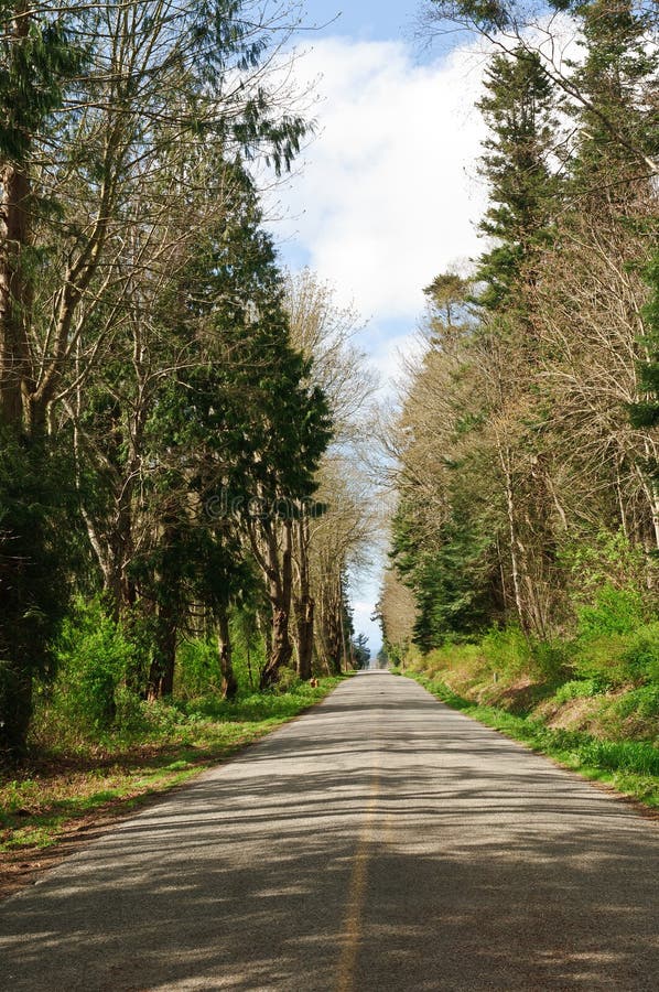 Windy Costa Rica road stock photo. Image of green, backroad - 15996414