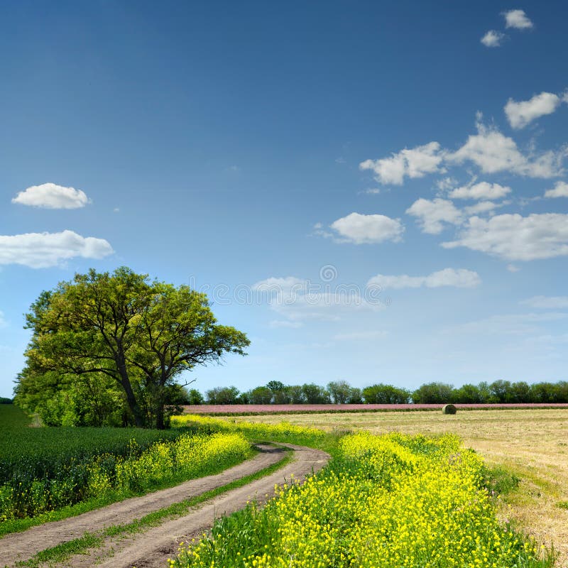 Country Road Free Stock Photos & Pictures, Country Road Royalty-Free ...