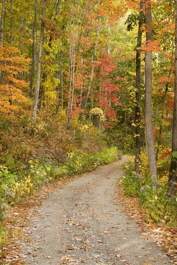 Country Road stock photo. Image of colorful, nature, dirt - 4188424