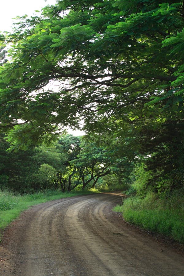 Corduroy Road Over the Water in Plitvice Lakes National Park Stock ...