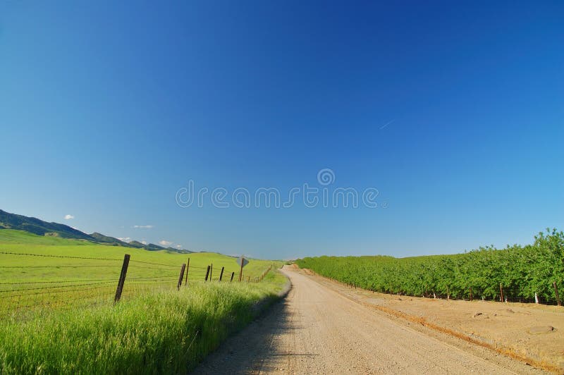 Country Road stock image. Image of farmland, fields, barrier - 8999