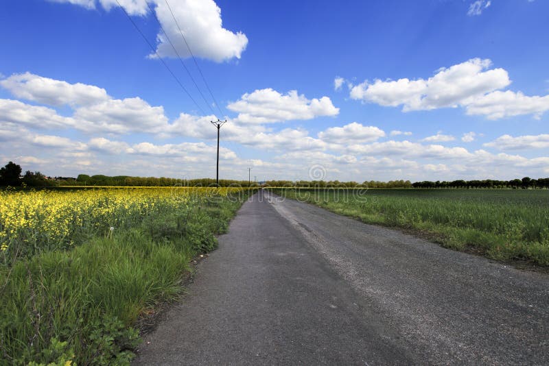 Country road stock image. Image of country, road, electric - 9494645