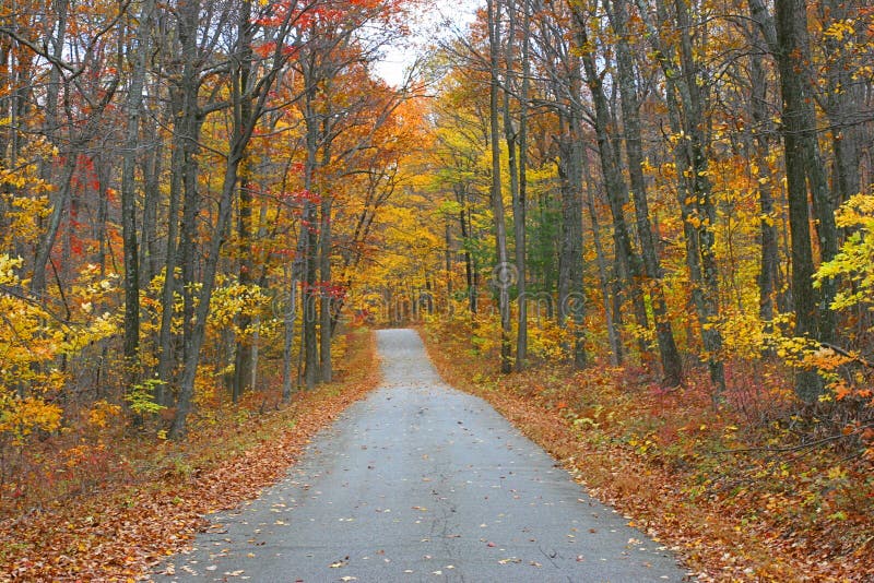 Country Road in Autumn stock image. Image of scenery, forest - 3747459