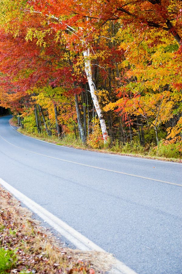 Country Road with Autumn Foliage Stock Photo - Image of road, lush: 9809820