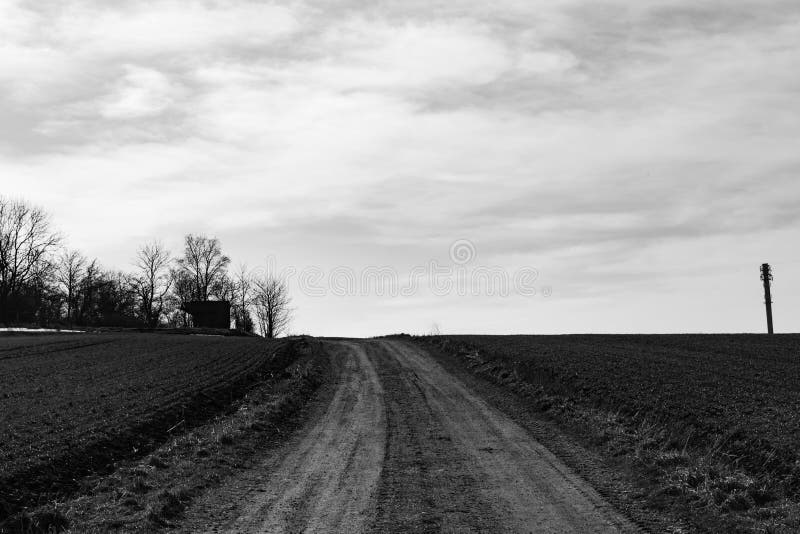 Country Road in Black and White Stock Photo - Image of perspective ...