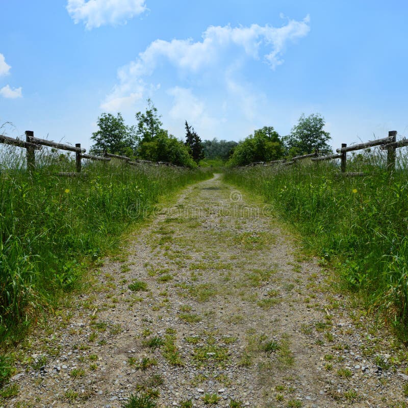 Country road with blue sky stock photo. Image of tree - 72184932