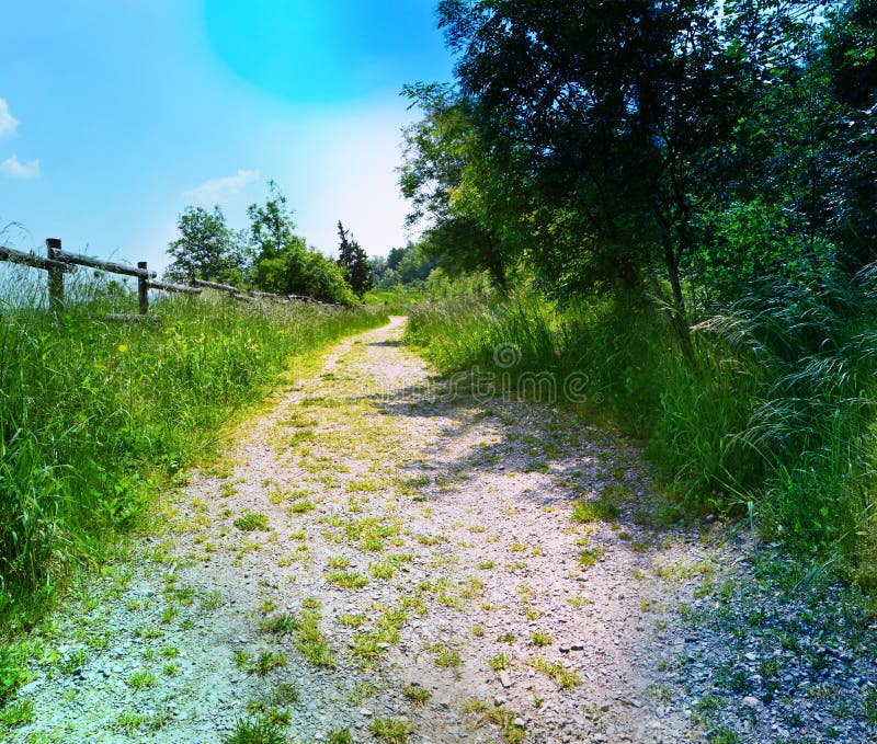 Country road with blue sky stock image. Image of evening - 72185357