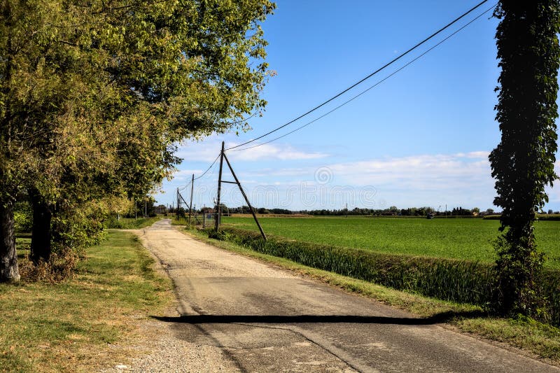 Country Road Bordered by Trees and Next To a Field Stock Image - Image ...