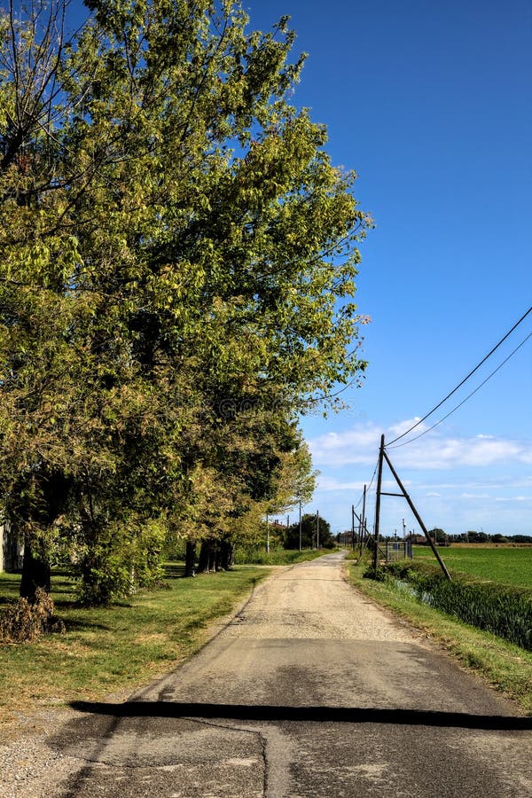 Country Road Bordered by Trees and Next To a Field Stock Photo - Image ...