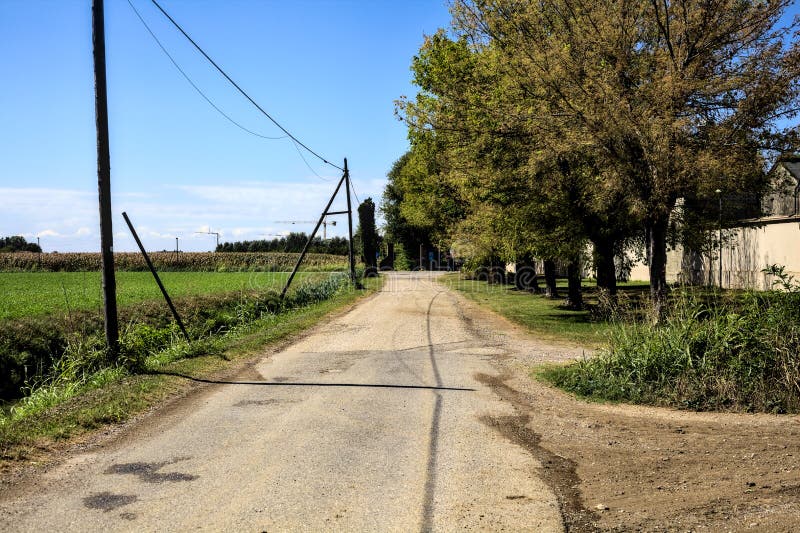 Country Road Bordered by Trees and Next To a Field Stock Photo - Image ...