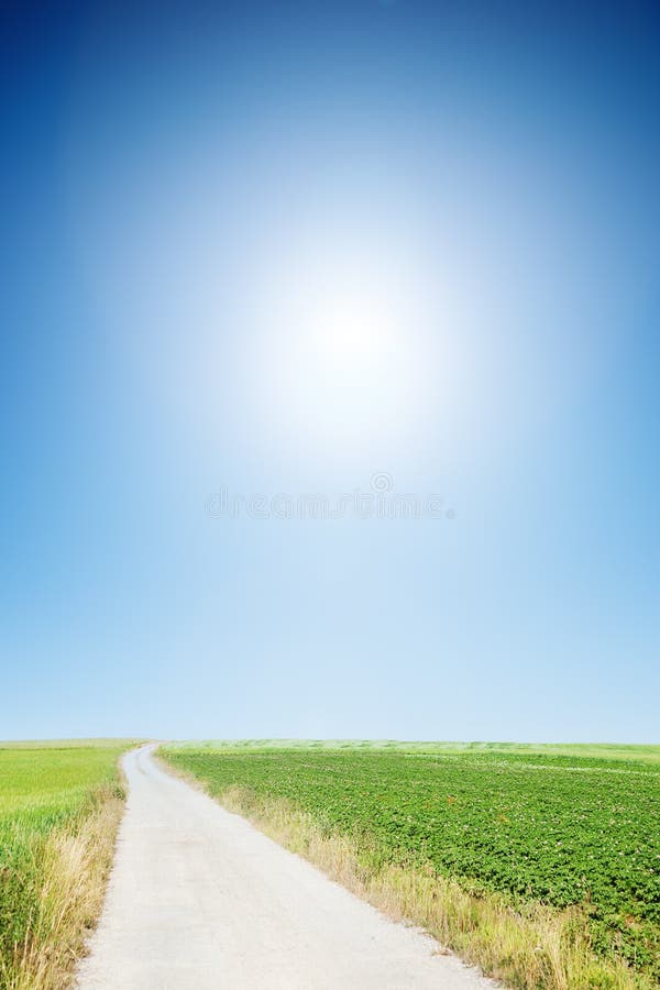 Country Road with Cloudless Sunny Sky Stock Image - Image of scenery ...