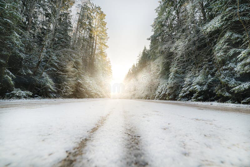 Snow Covered Country Road with Bus Stop Sign Stock Image - Image of ...