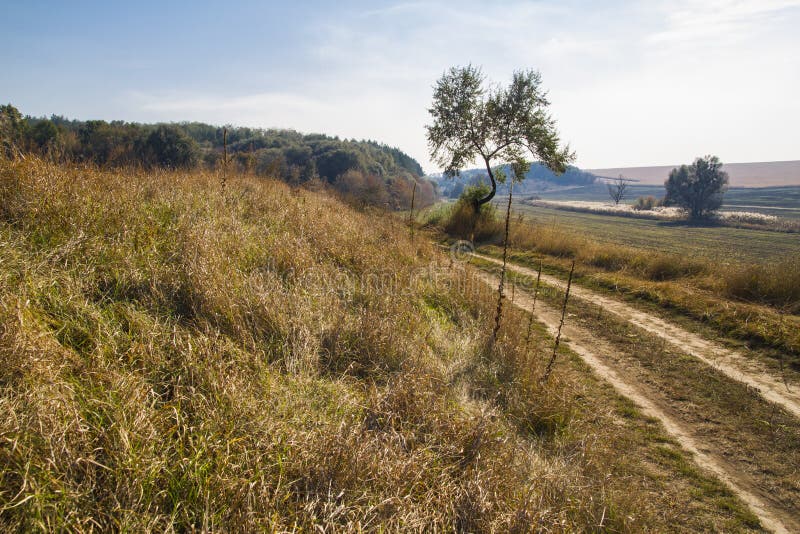 Country Road in the Countryside Stock Image - Image of beautiful ...