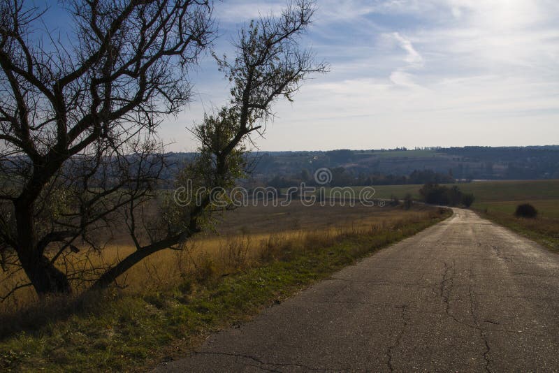 Country Road in the Countryside Stock Photo - Image of pasture, scenery ...