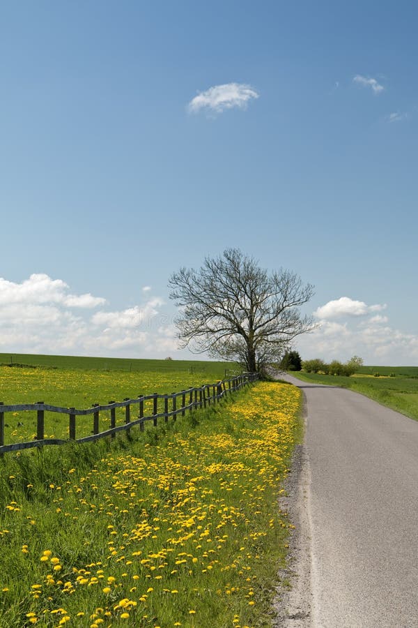 Country Road stock image. Image of scenery, green, beautiful - 79683157