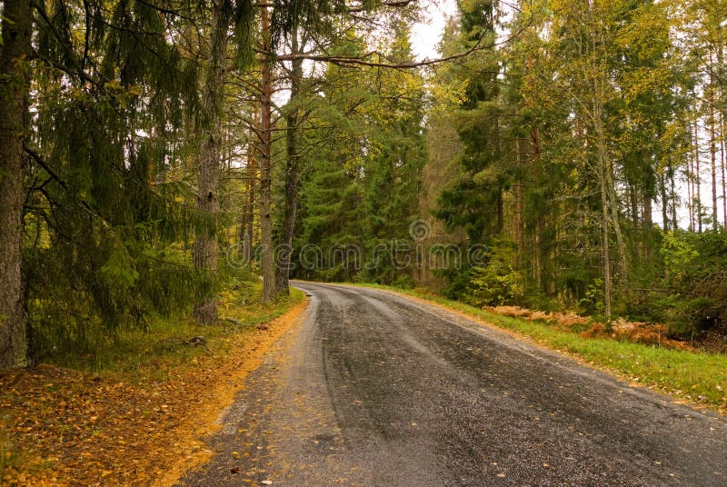 Country road in fall stock photo. Image of country, beautiful - 11549846