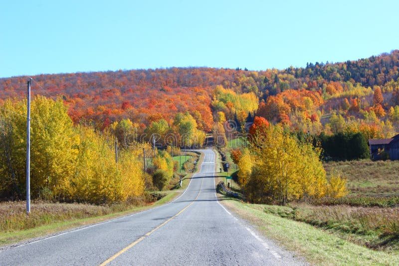Country road in fall stock image. Image of country, quebec - 259060201