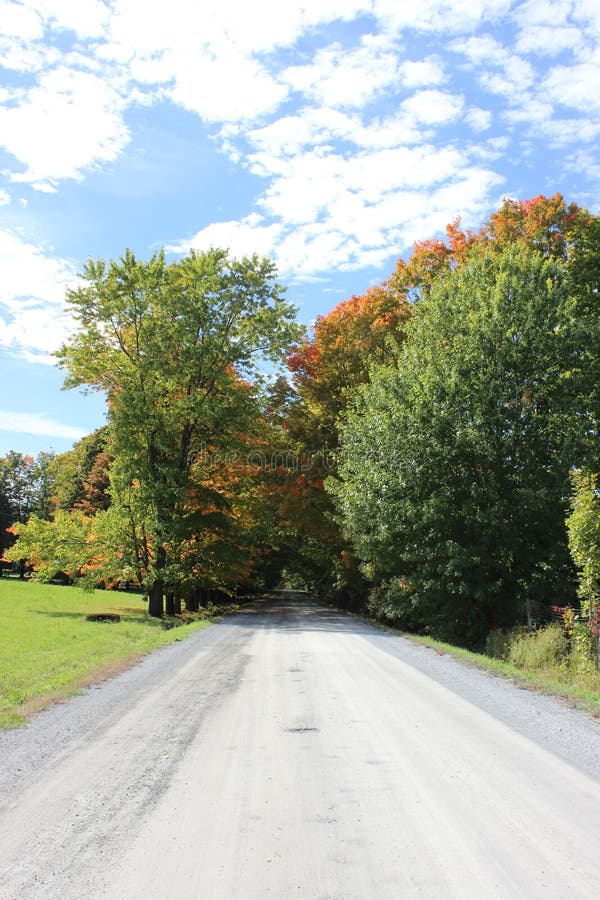 Country Road in Fall stock photo. Image of landscape - 128014322