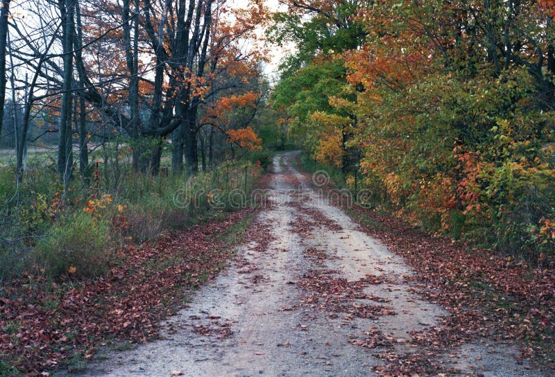 Country Road in the Fall stock photo. Image of country - 139025100
