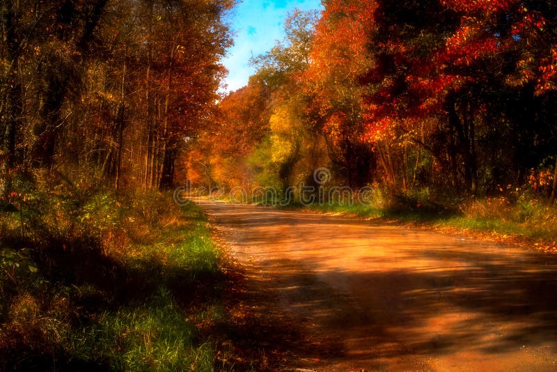 Country Road Fall stock photo. Image of afternoon, colorful - 45763854