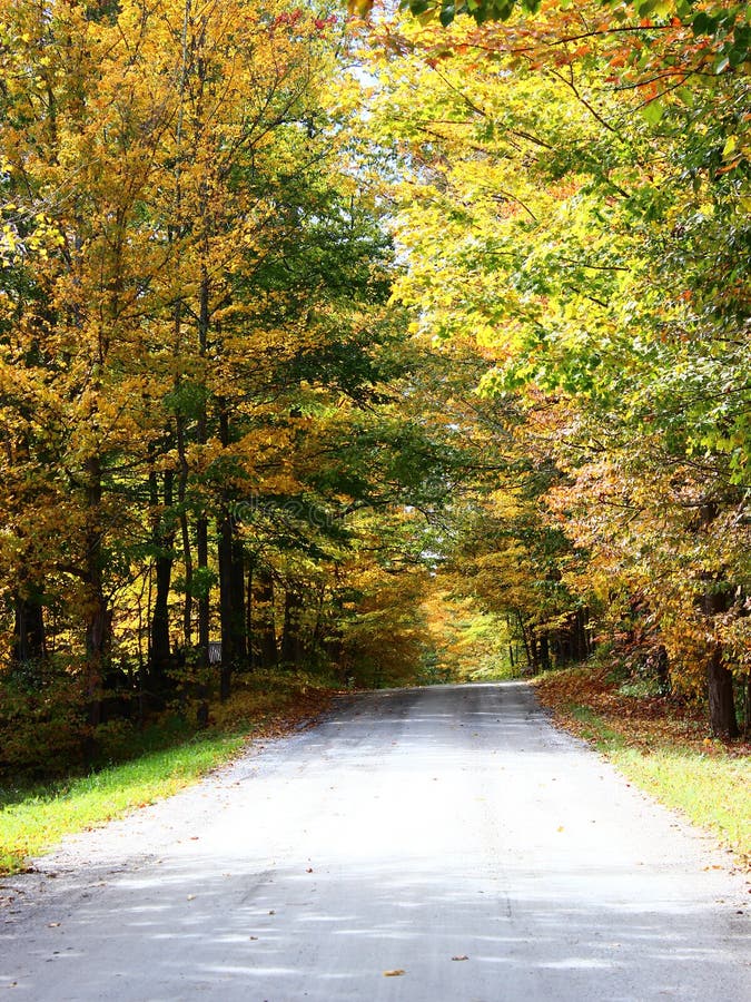 Country Road in Fall stock image. Image of autumn, lansdcape - 128014377