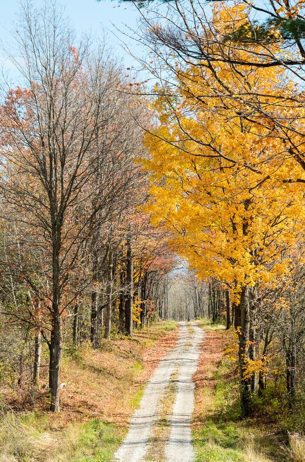 Country road fall foliage stock image. Image of fall - 61459297