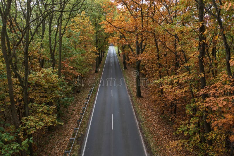 A country road in the fall stock image. Image of destination - 295850955