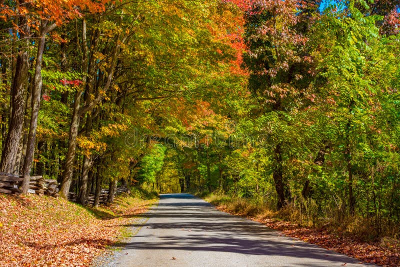 Country road in the Fall stock image. Image of travel - 93886597