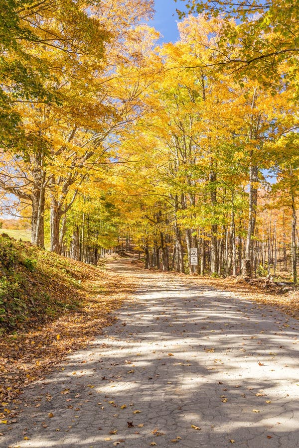 Country Road in Fall, Vermont. Stock Photo - Image of hills, farm: 65615018