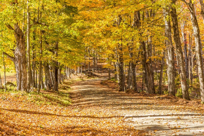 Country Road in Fall, Vermont. Stock Photo - Image of outdoor ...