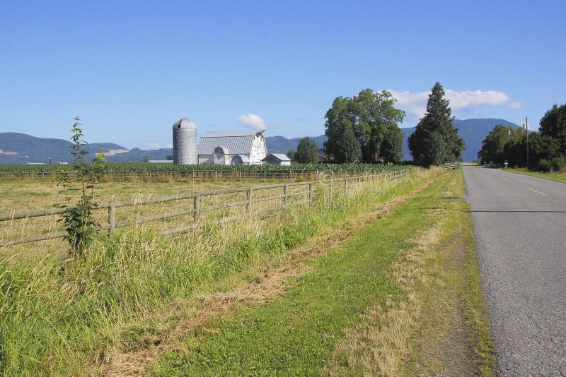 Country Road and Farm stock photo. Image of lane, established - 74551424