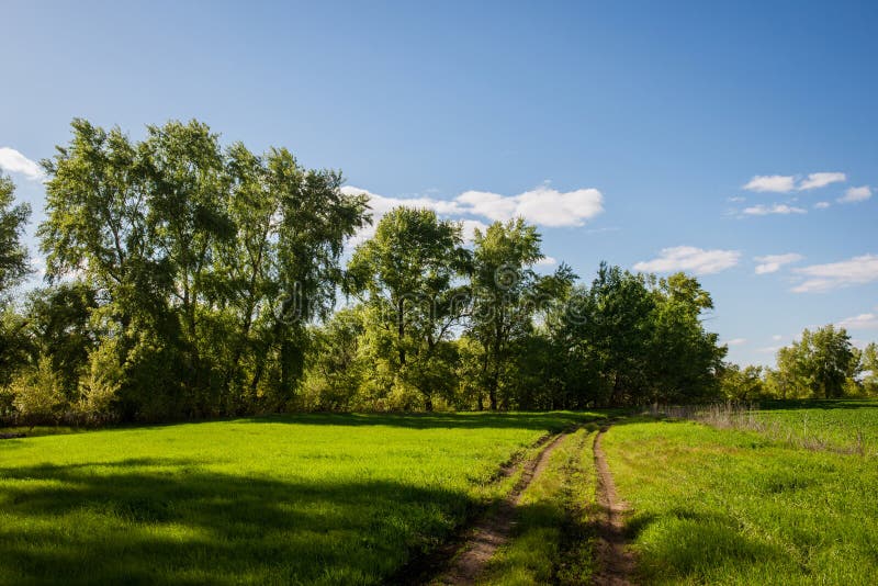 A Country Road in a Field of Green Grass at Sunset Stock Photo - Image ...