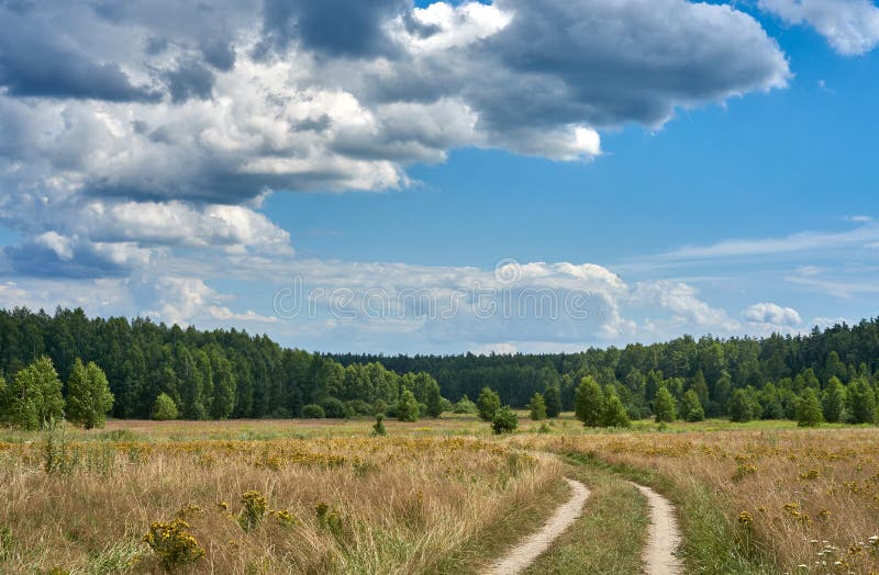 Country Road in a Field in Summer Stock Photo - Image of land, august ...