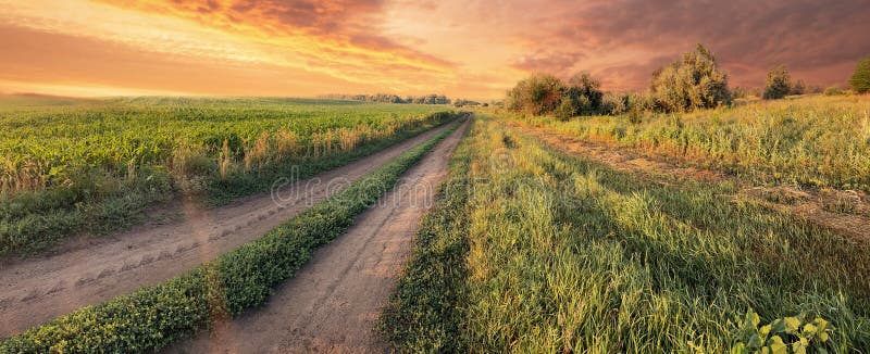 Country Road in a Field Under Dramatic Sky Stock Photo - Image of white ...