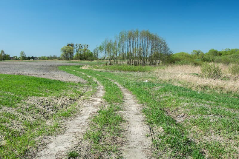 Country Road through Fields, Coppice and Blue Sky Stock Image - Image ...