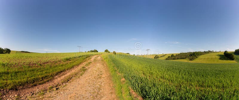 Country Road through the Fields Stock Image - Image of grassland ...