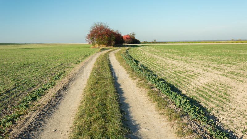 Country Road through Fields, Shrubs on the Horizon and Blue Sky Stock ...