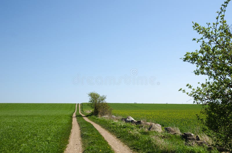 Country road at the fields stock image. Image of stonewall - 40377543