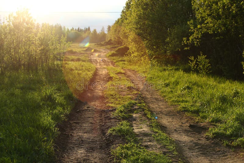 Country Road through the Fields in Sunset Stock Image - Image of lawn ...