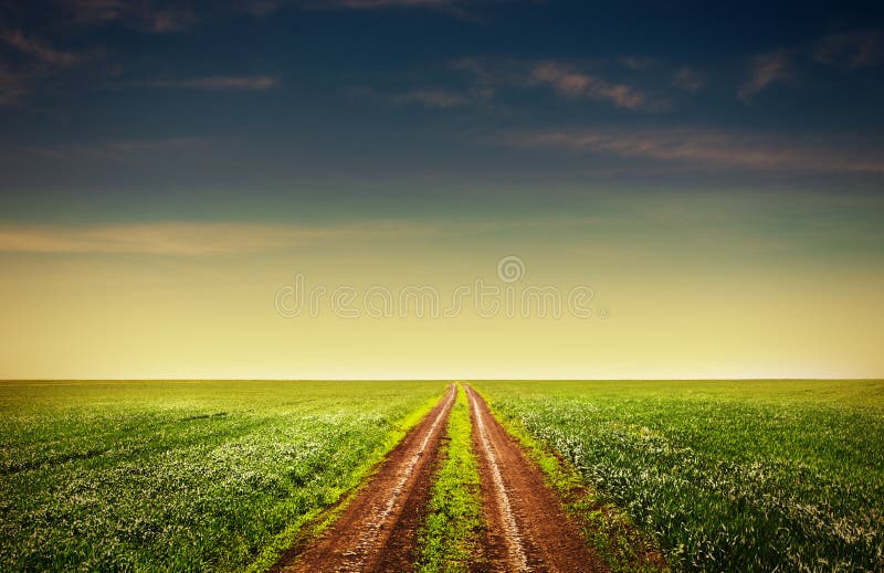 Country Road through the Fields Stock Photo - Image of green, fields ...