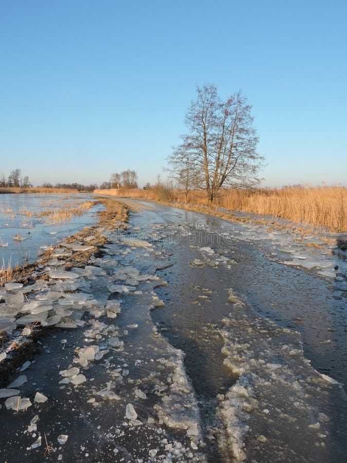 Country road in flood stock photo. Image of flood, country - 66529894