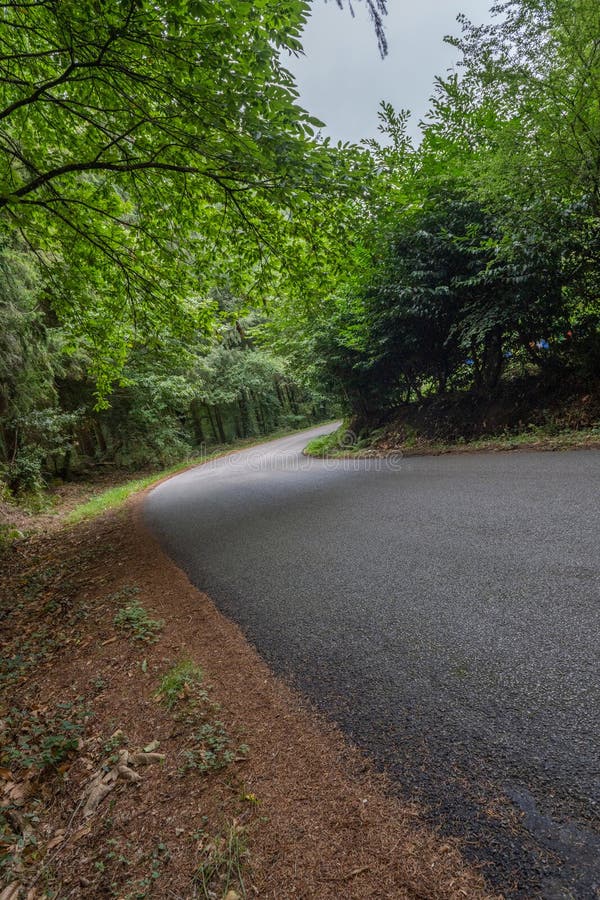 Country drive stock image. Image of summer, drive, motorway - 279881187
