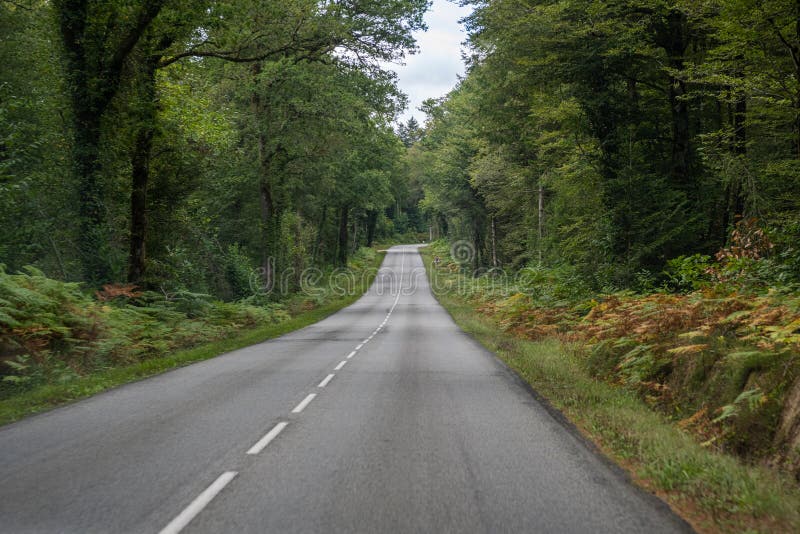 Country drive stock photo. Image of britany, summer - 279881200