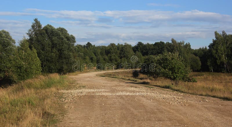 Country Road at the Forest Turning Right Stock Photo - Image of country ...